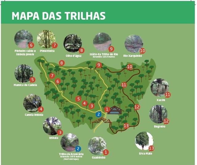 3 trilhas para caminhadas - Hotel Guarapuava Kuster